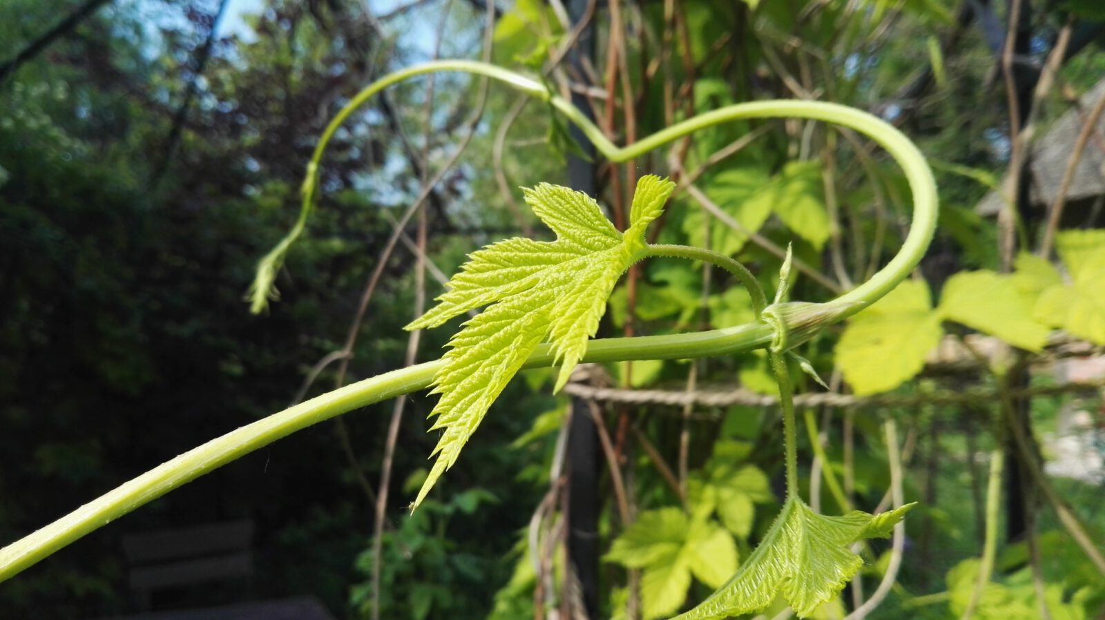 ÜBER MICH – ECOSCAPiNG